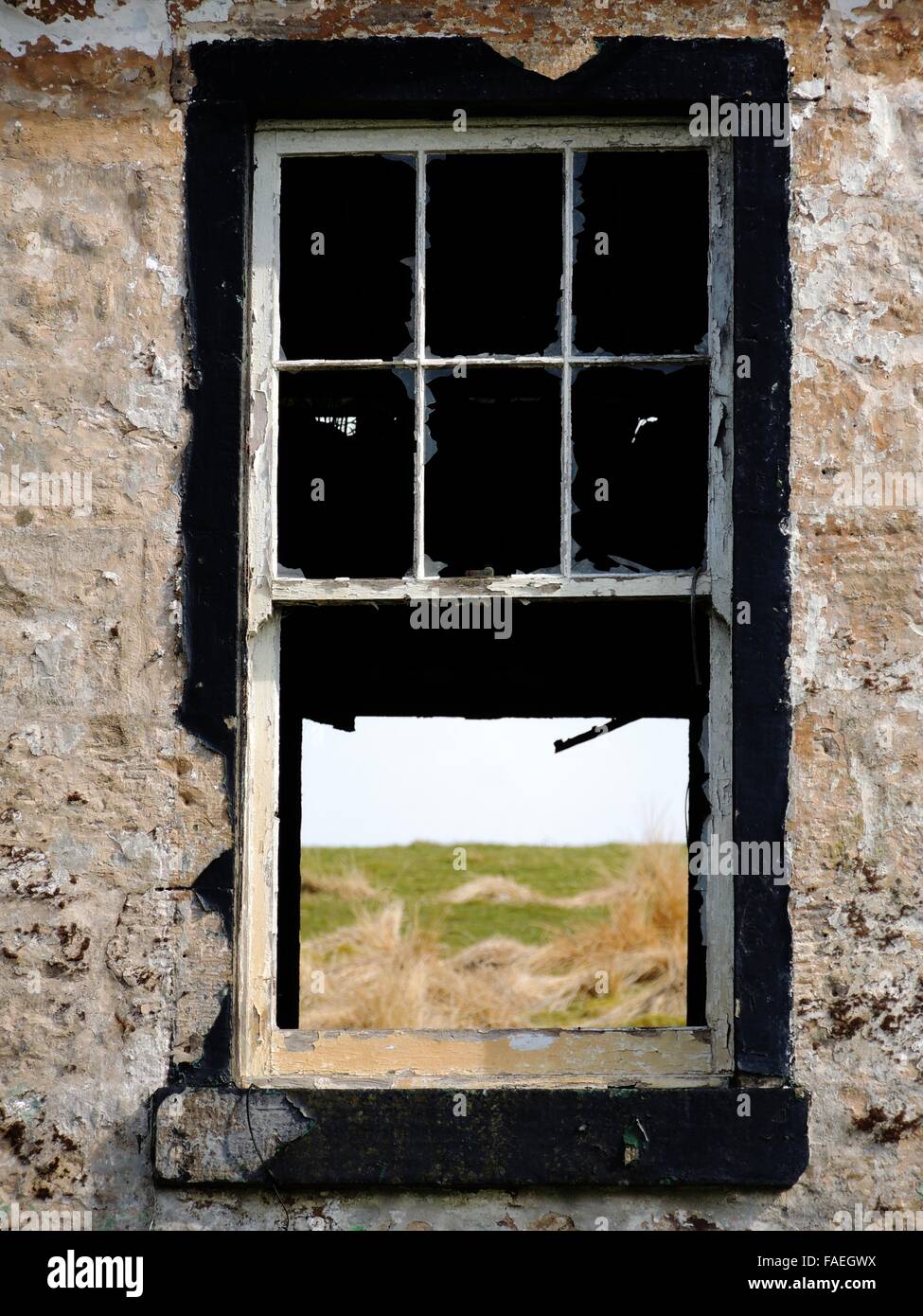 Looking from the outside...to the outside! A view looking through the ...