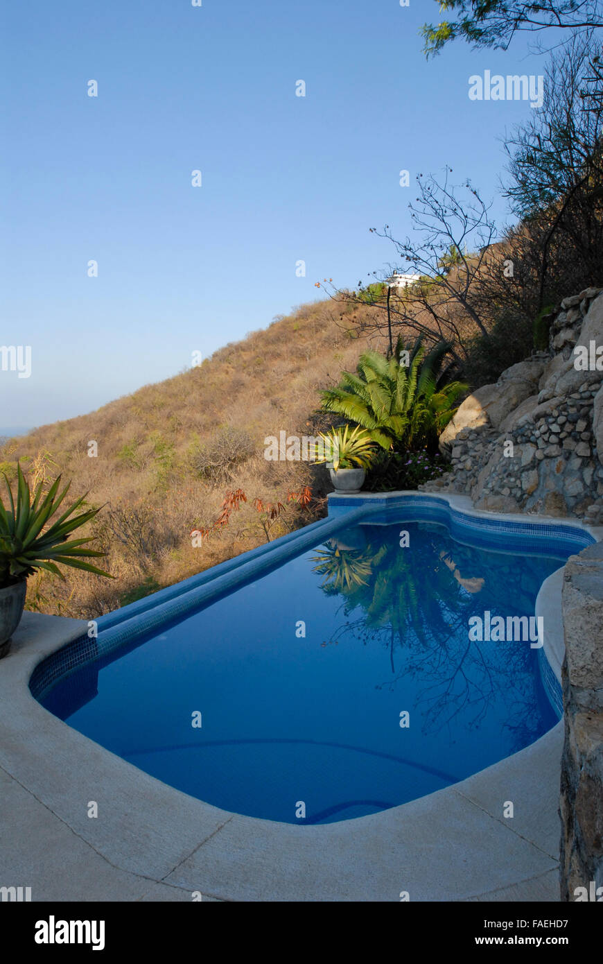 Private swimming pool at home in Acapulco, Mexico Stock Photo - Alamy