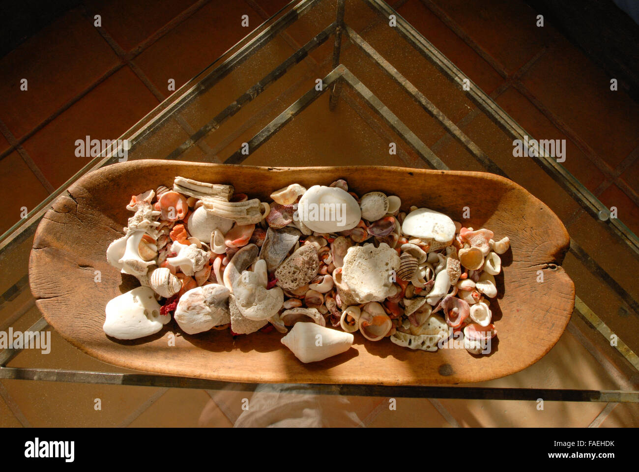 Pacific shells hi-res stock photography and images - Alamy