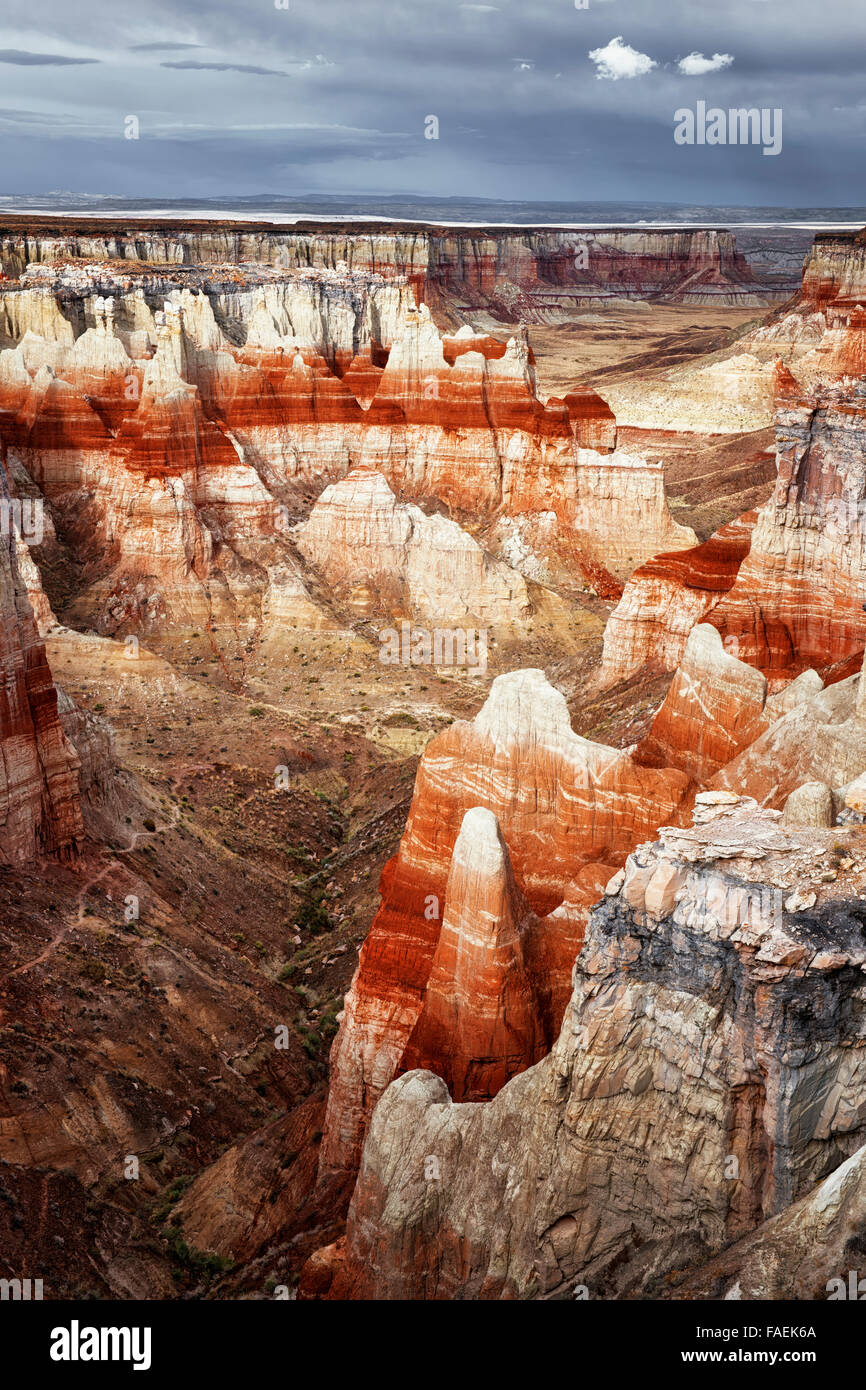 Evening showers pass over the towering hoodoos at remote Coal Mine ...