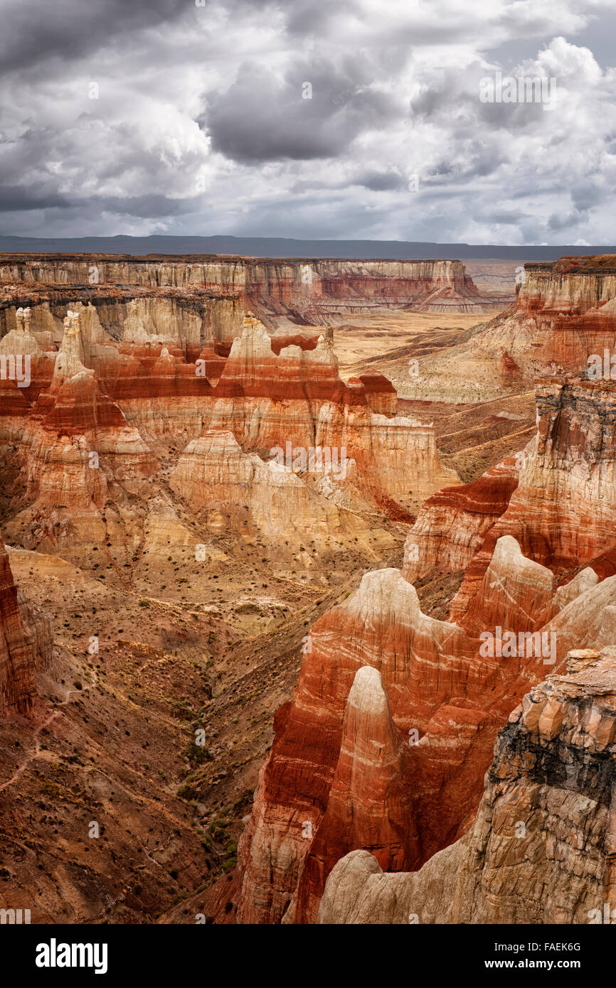 Thunderstorms build over the towering hoodoos at remote Coal Mine ...