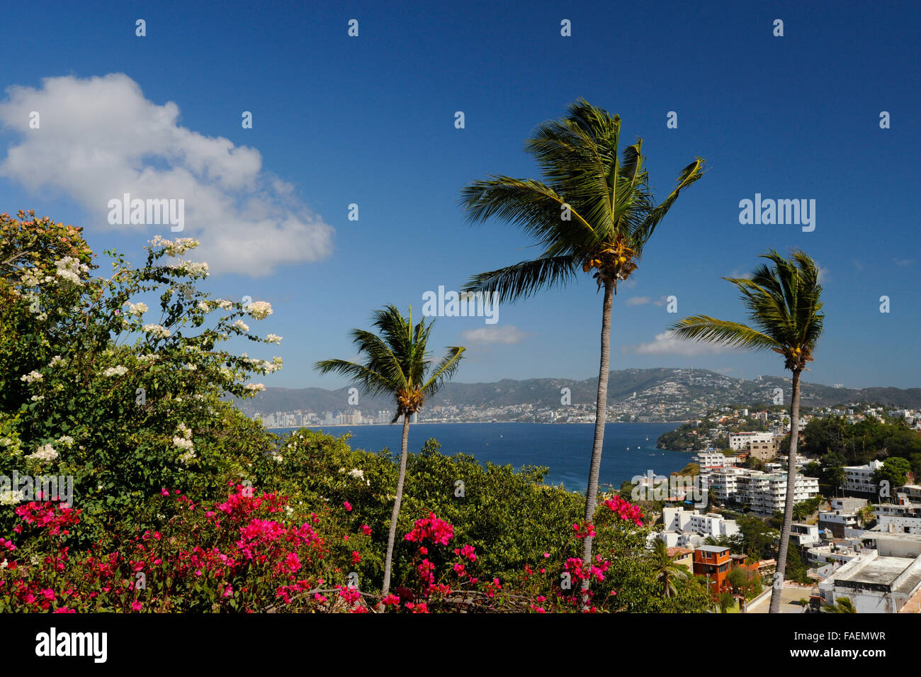 Acapulco mexico hi-res stock photography and images - Alamy