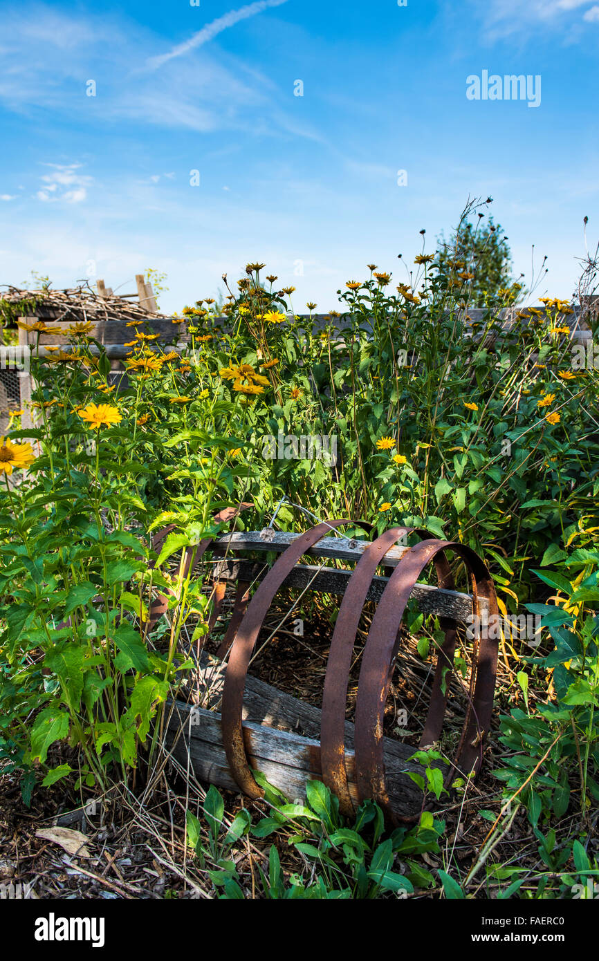 Community garden canada hi-res stock photography and images - Alamy