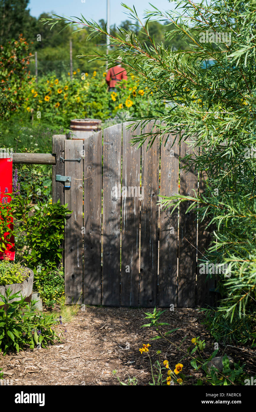 Community garden canada hi-res stock photography and images - Alamy