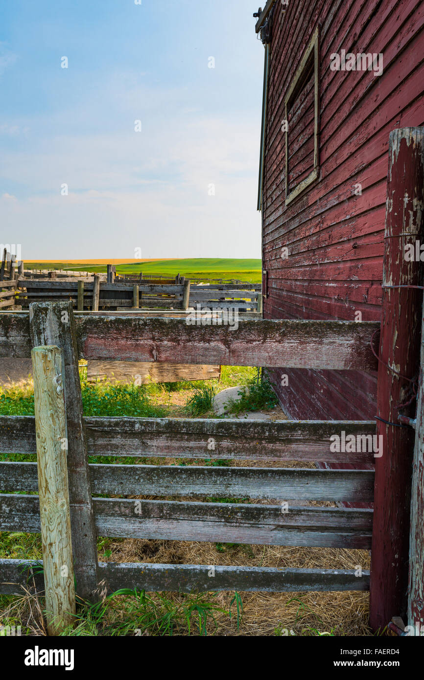 Farmstead in rural Southern Alberta Canada Stock Photo - Alamy
