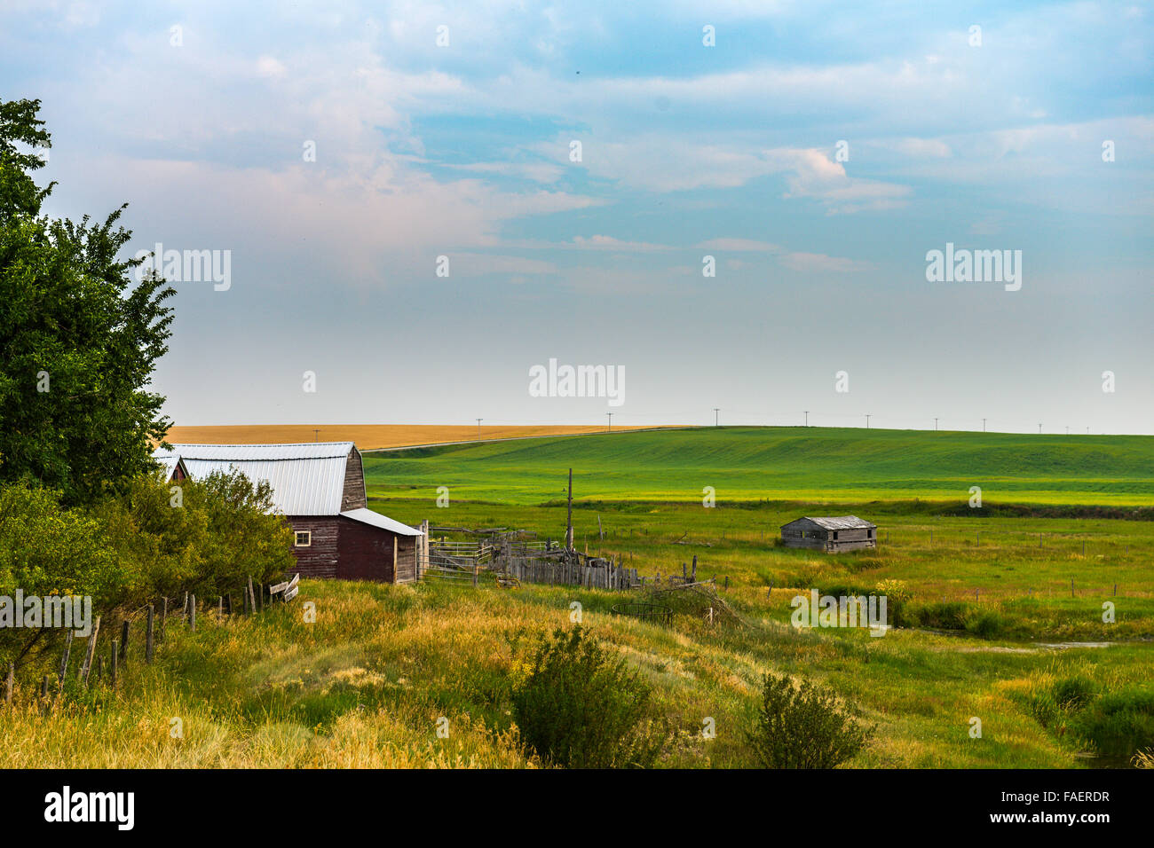 Farmstead in rural Southern Alberta Canada Stock Photo - Alamy