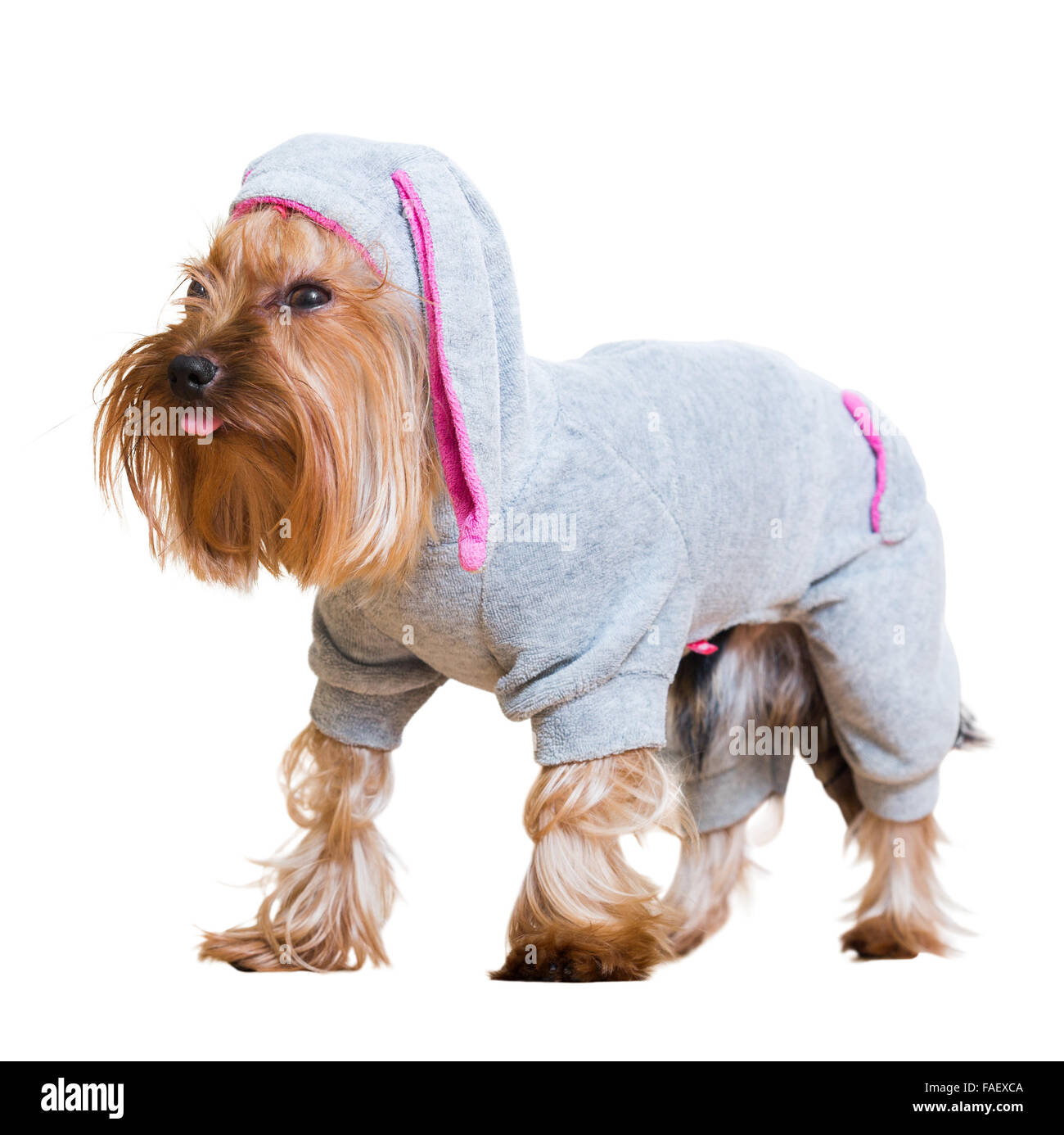 Popular positive Cut Out Stock Images & Pictures - Alamy