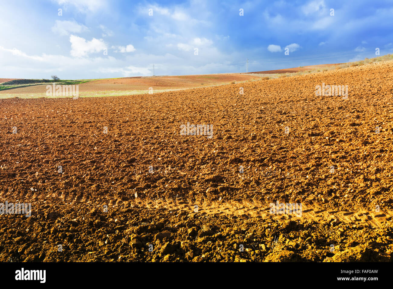 idle field in Europe at sunny day Stock Photo - Alamy