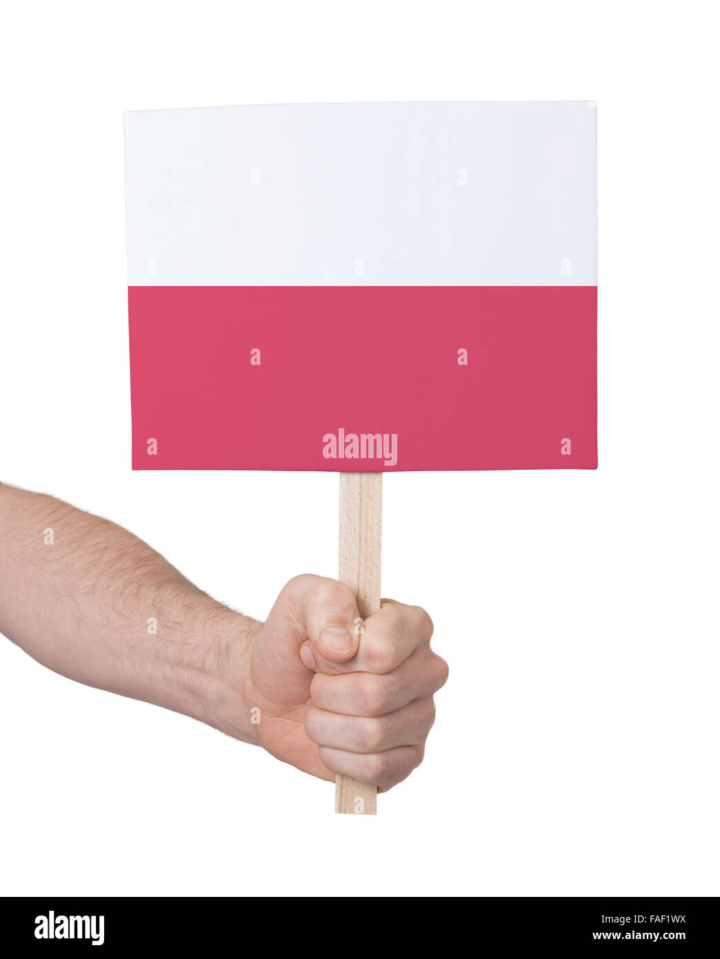 Hand holding small card, isolated on white - Flag of Poland Stock Photo ...
