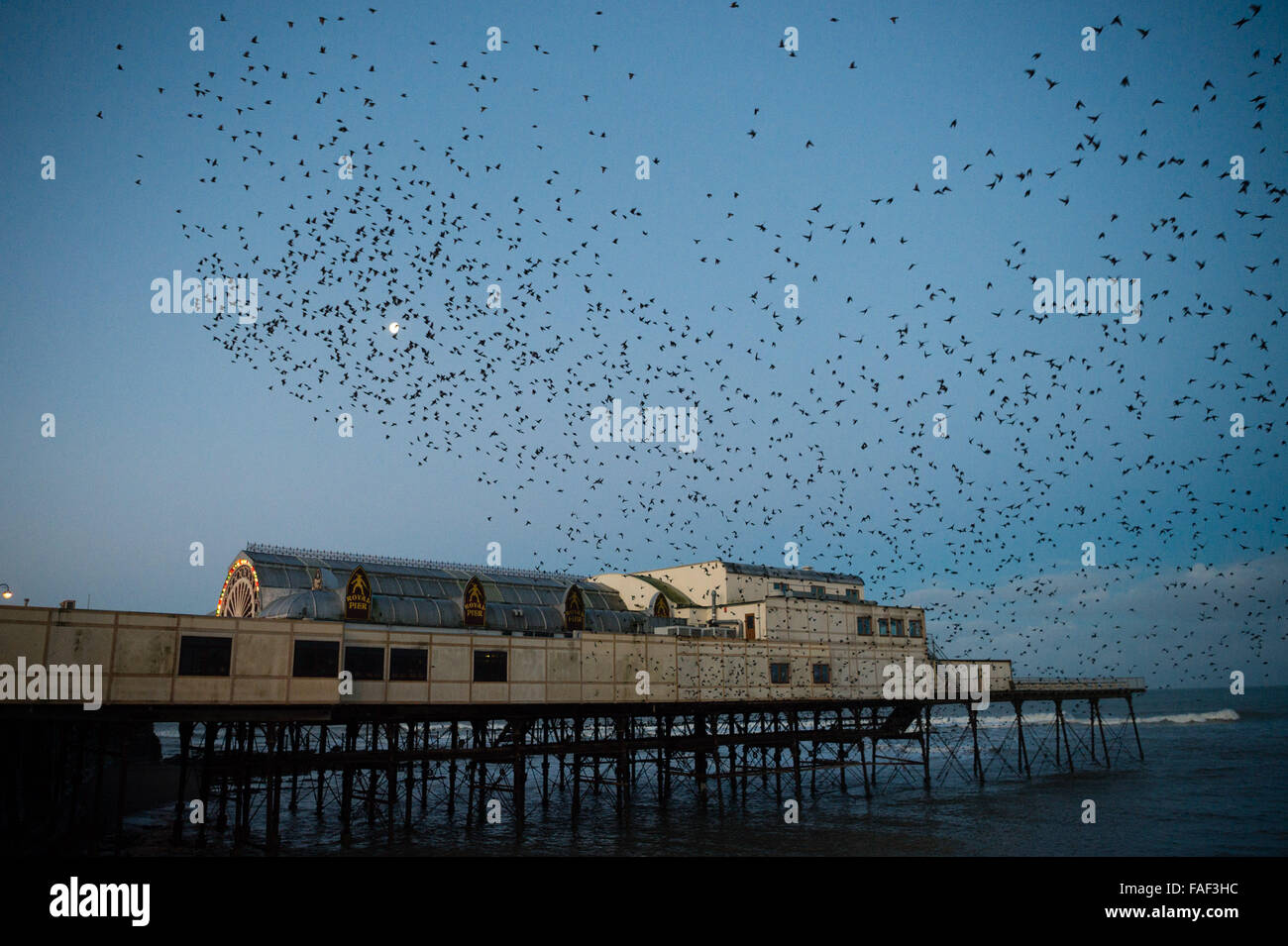 Aberystwyth Wales UK, Tuesday 29 December 2015 Just before sunrise and ...