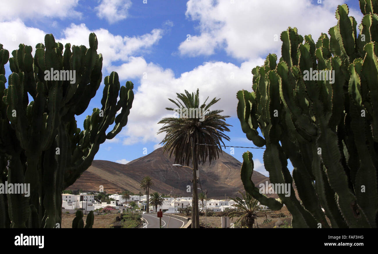 1730 1736 High Resolution Stock Photography and Images - Alamy