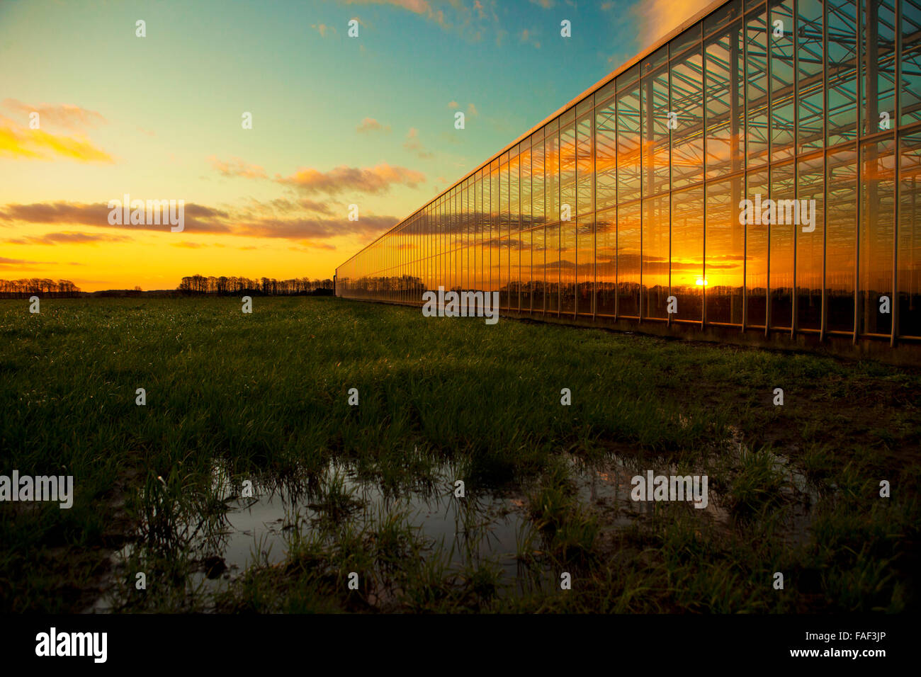 Greenhouse night alamy hi-res stock photography and images - Alamy