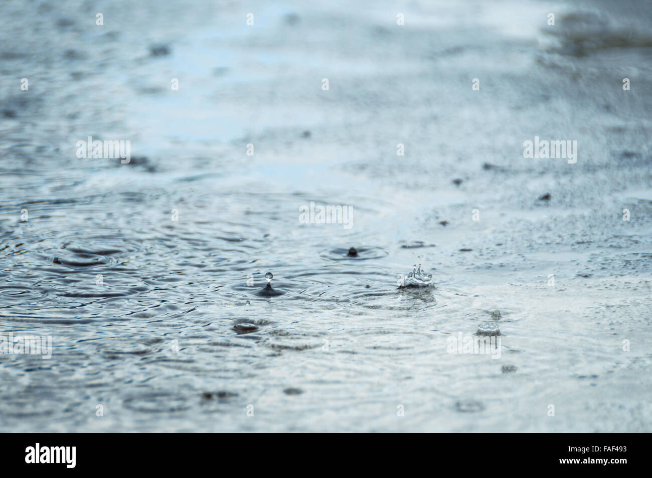 Puddle of clear fresh water hi-res stock photography and images - Alamy