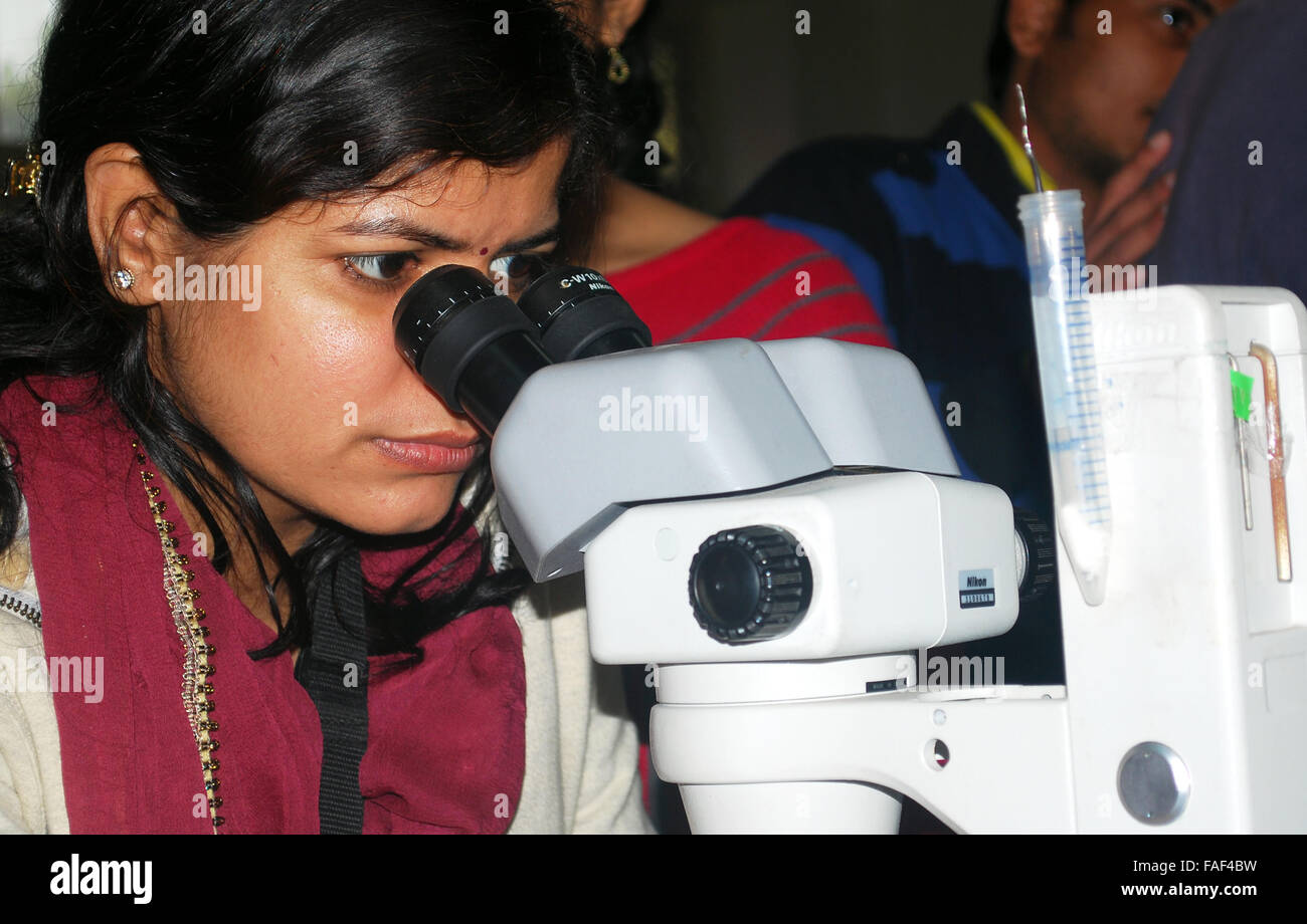 Student working in a Laboratory Stock Photo - Alamy