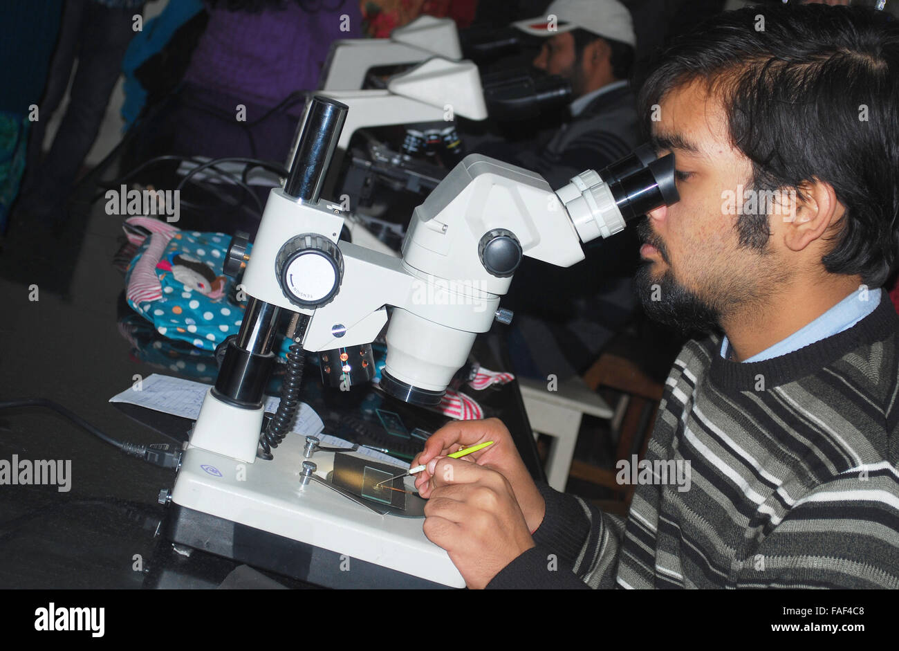 Student working in Biology Lab with Microscope Stock Photo - Alamy
