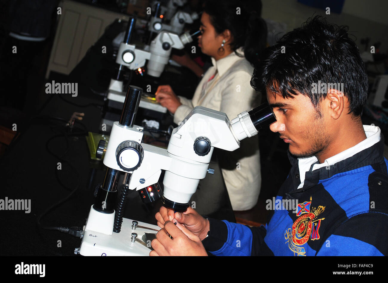Student working in Biology Lab with Microscope Stock Photo - Alamy