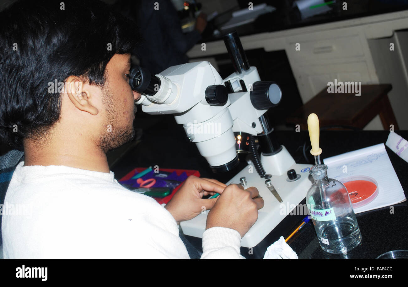 Student working in Biology Lab with Microscope Stock Photo - Alamy