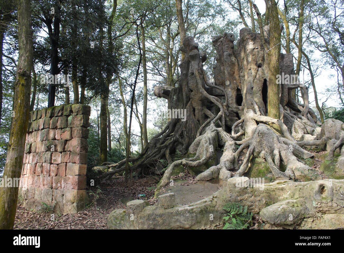 The roots‘s castle Stock Photo - Alamy