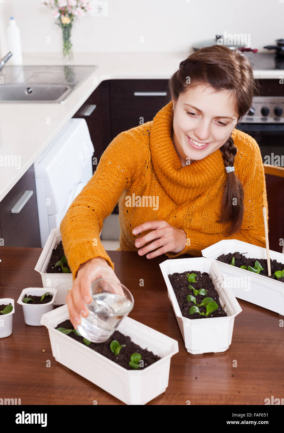 Female gardener working with green seedlings in domestic kitchen Stock ...