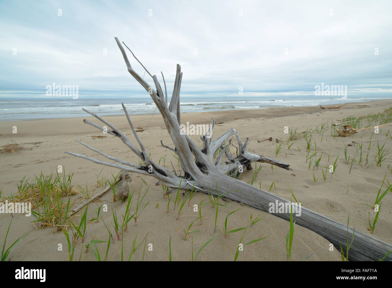 Sakhalin island landscapes hi-res stock photography and images - Alamy