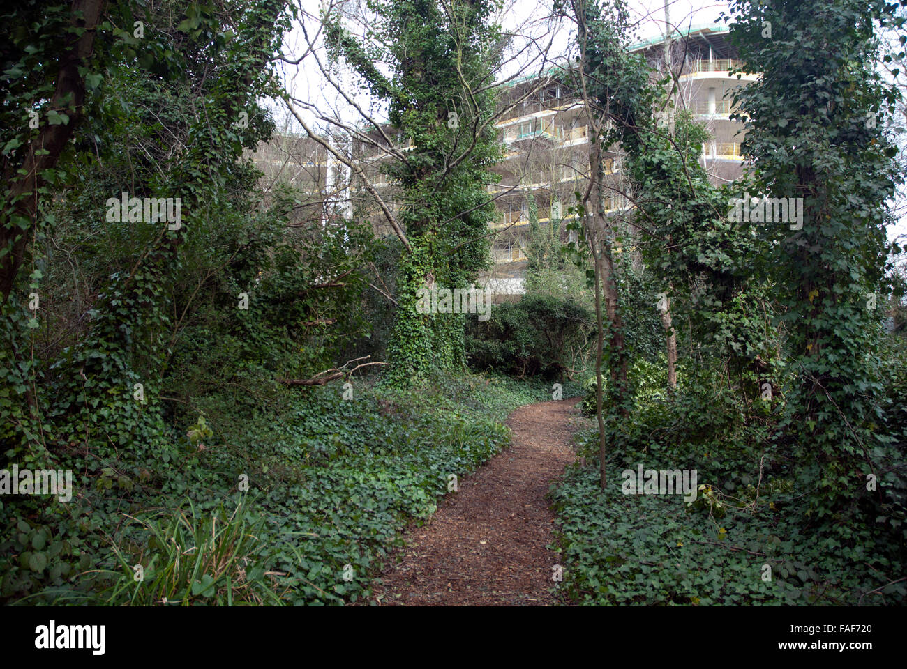 New buildings behind Gunnersbury Triangle Nature Reserve, Chiswick West ...