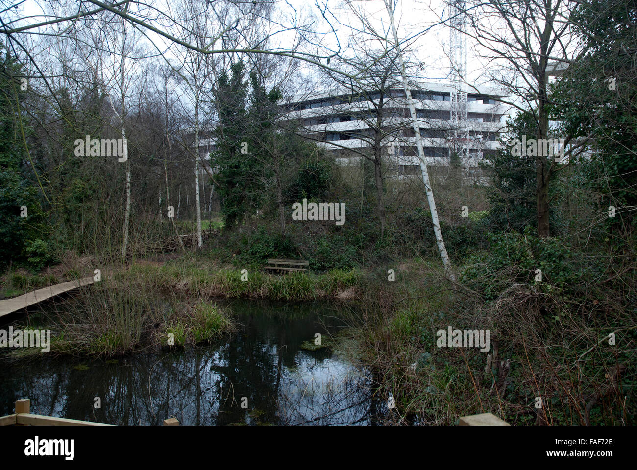 New buildings behind Gunnersbury Triangle Nature Reserve, Chiswick West ...