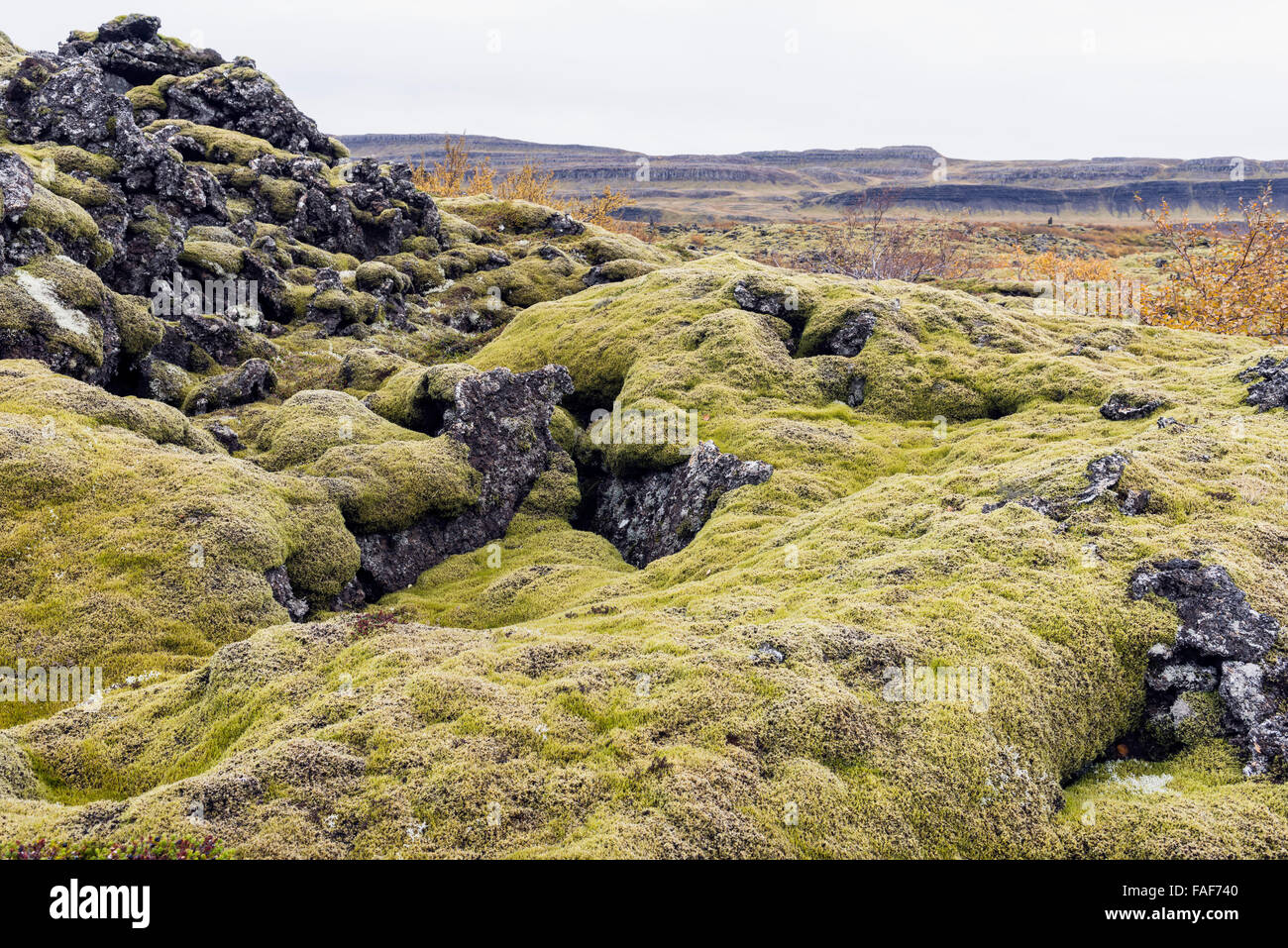 lava landscape, Iceland Stock Photo - Alamy