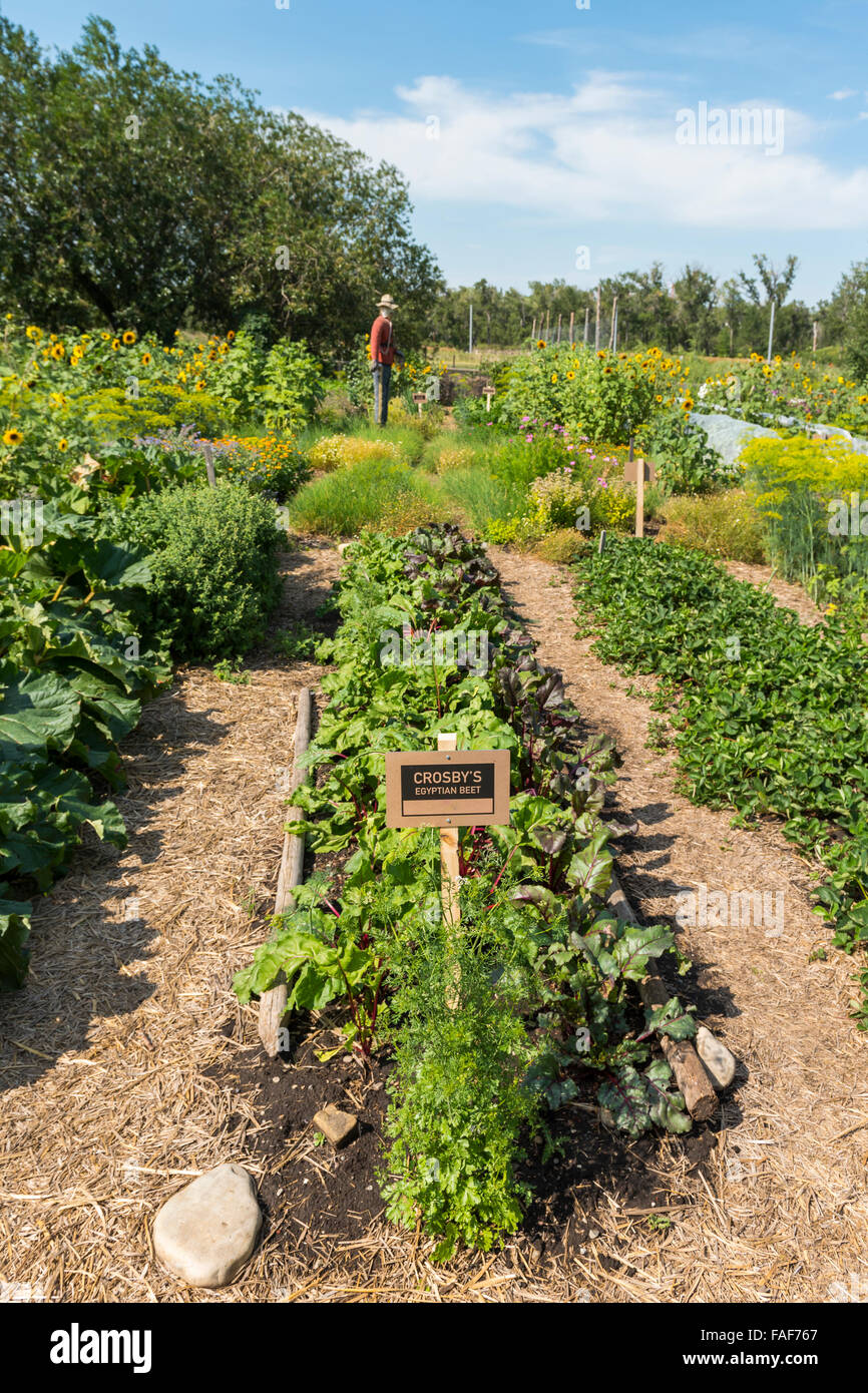 Community garden canada hi-res stock photography and images - Alamy