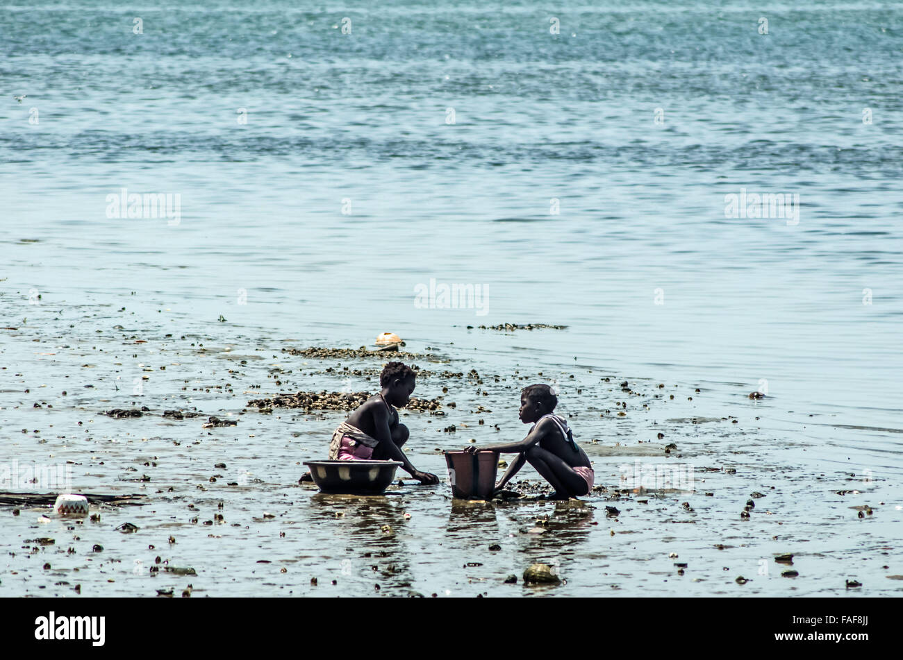 Children collecting shellfish in southern Sierra Leone Stock Photo - Alamy