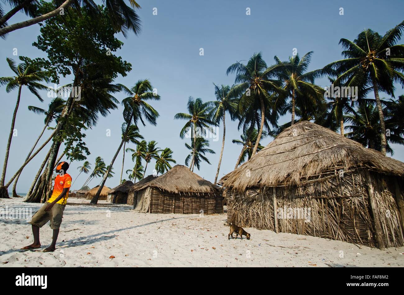 Turtle Island Sierra Leone Conservation Society Of Sierra Leone