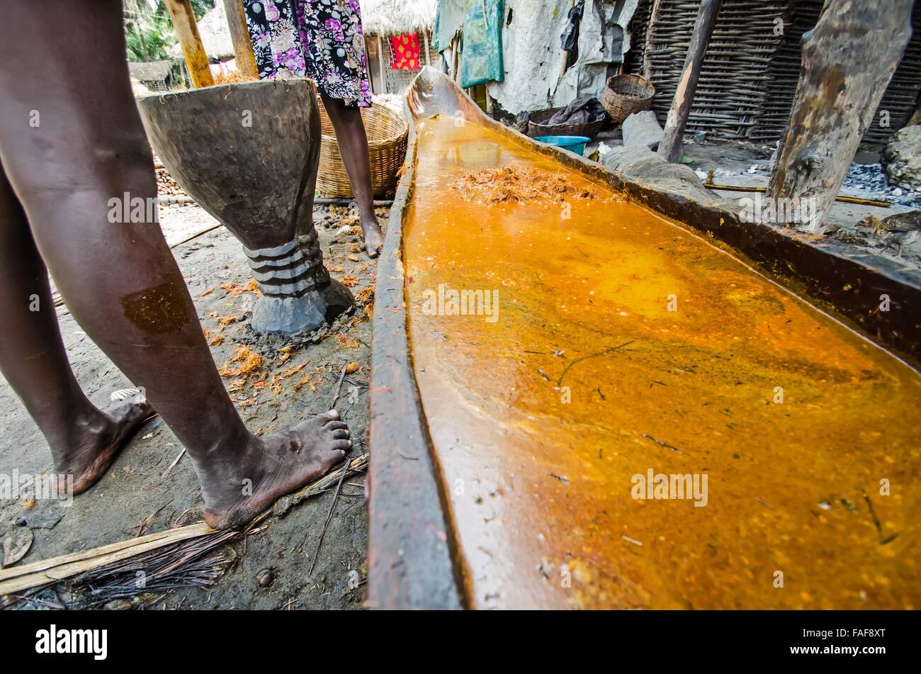 Palm oil processing hi-res stock photography and images - Alamy