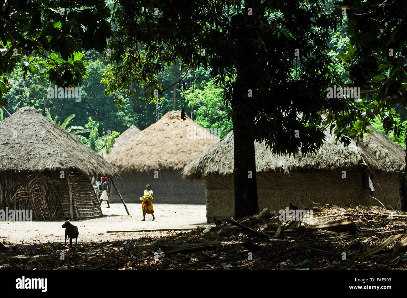 Village in southern Sierra Leone Stock Photo - Alamy