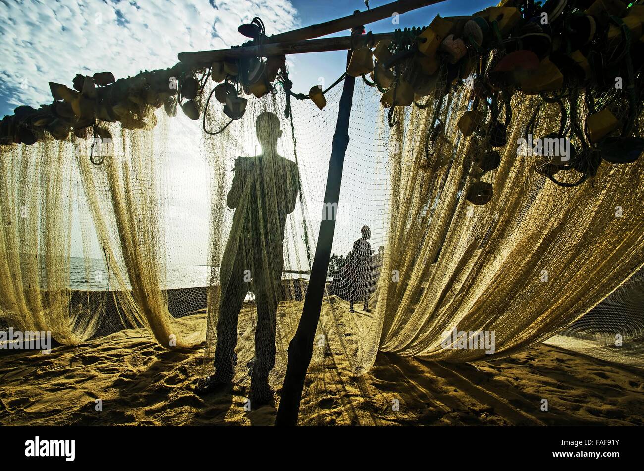 Turtle man beach beaches hi-res stock photography and images - Alamy