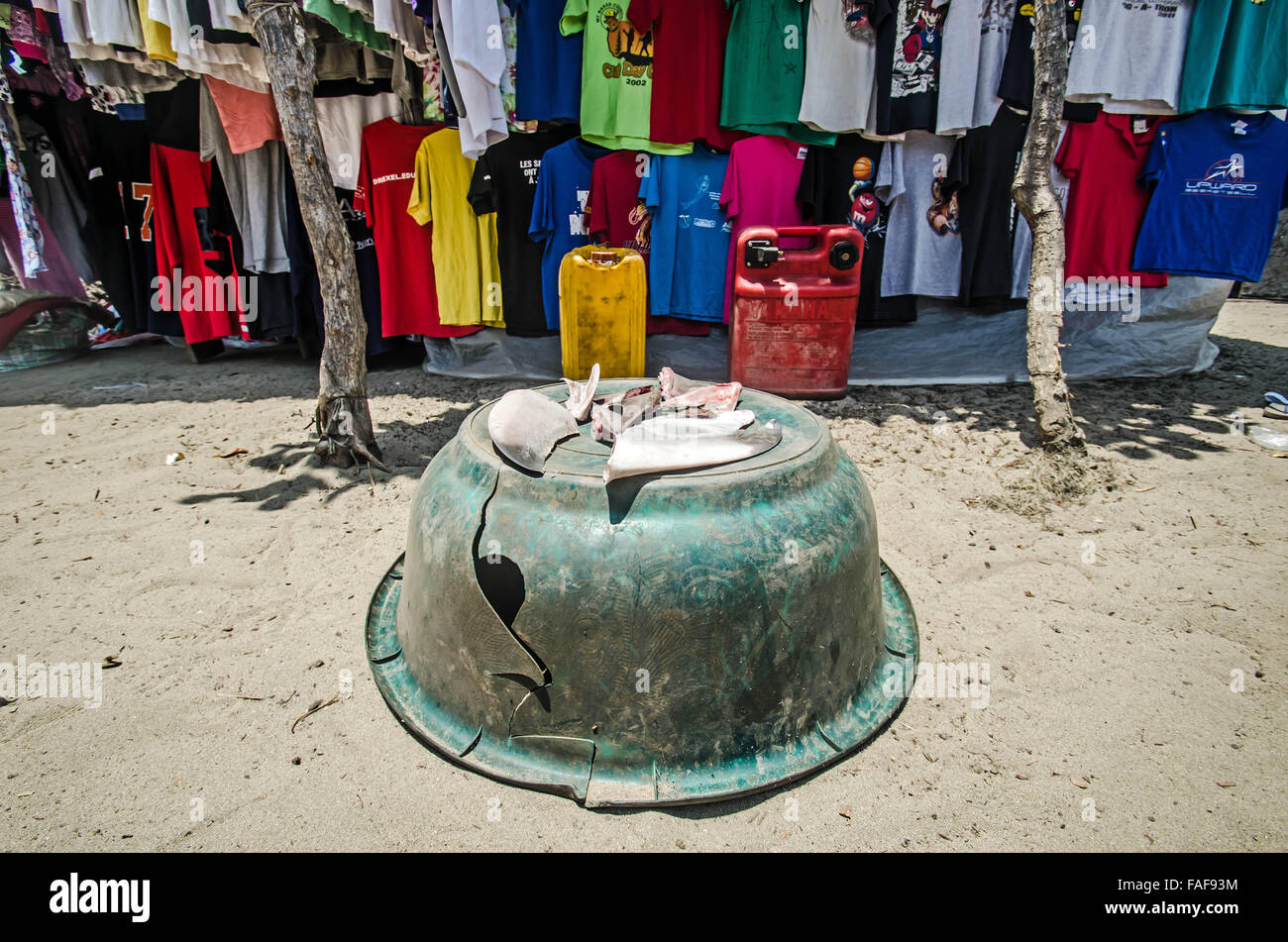 Shark fins drying in the sun on Yele island, the Turtle Islands, Sierra ...