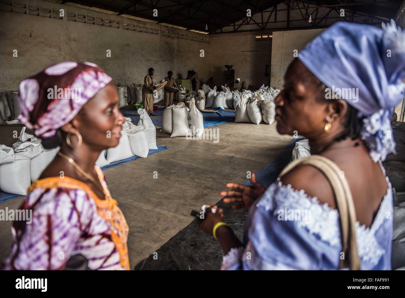 Female rice traders buy rice from a mill in Sierra Leone Stock Photo ...