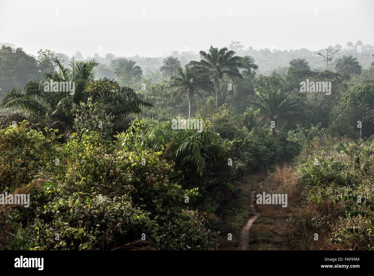 Sierra Leone landscape near Bo Stock Photo - Alamy