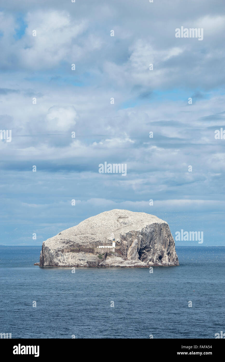 Bass Rock, volcanic rocks and gannet colony in the Firth of Forth at ...