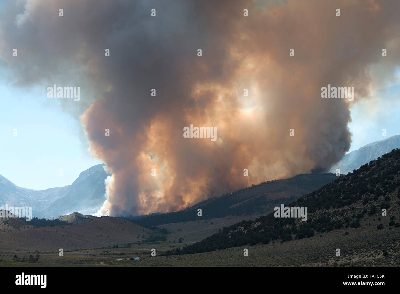 Yosemite National Park forest fire Stock Photo - Alamy