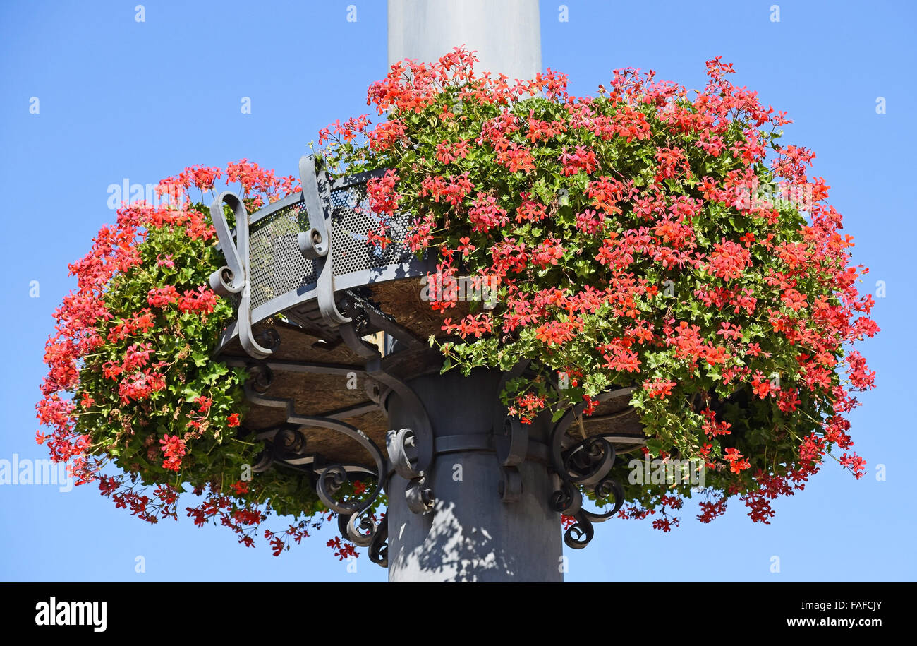 Flowers on a pole in the city Stock Photo - Alamy