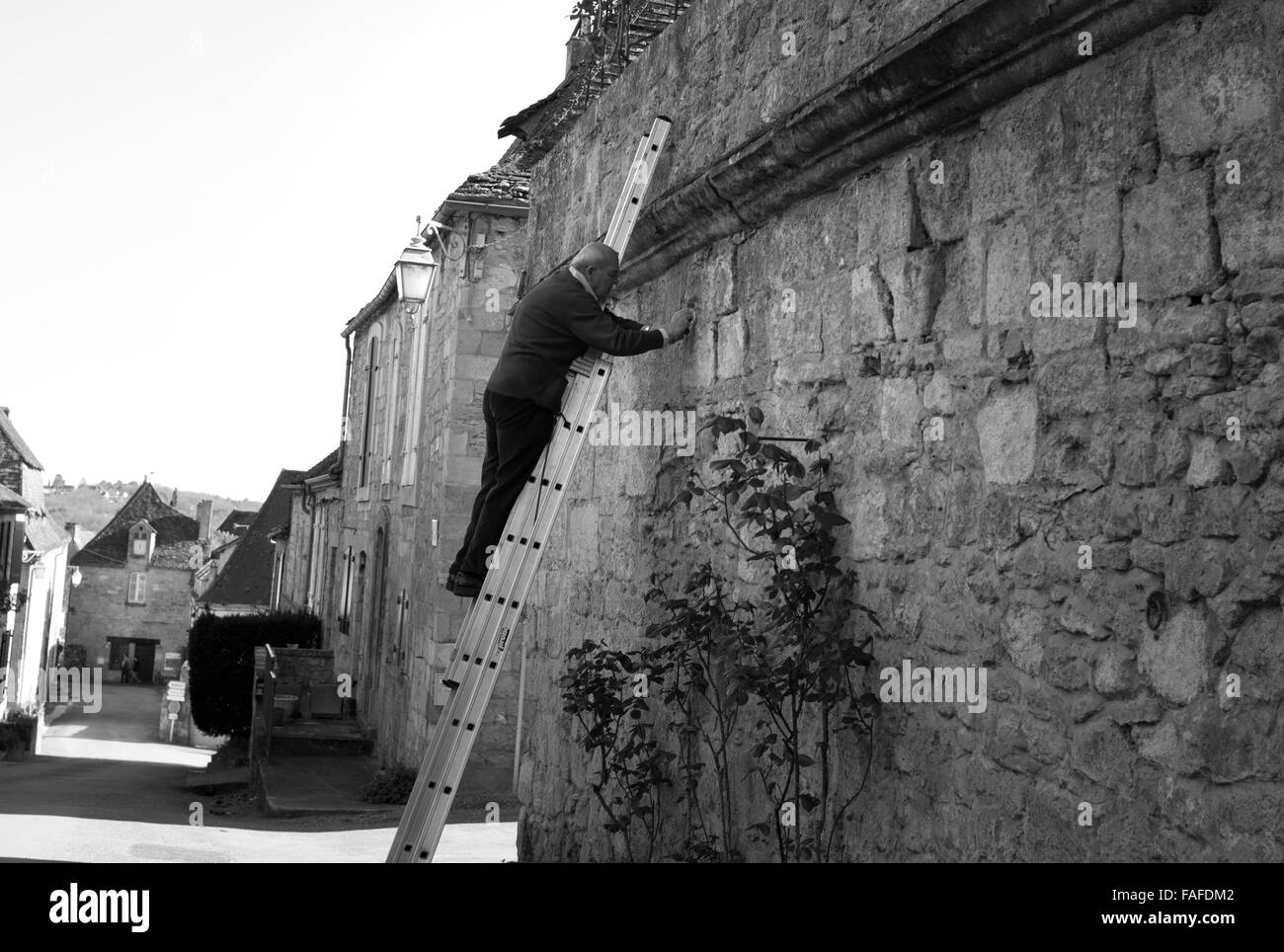 Old man up ladder fixing wall, Domme Stock Photo - Alamy