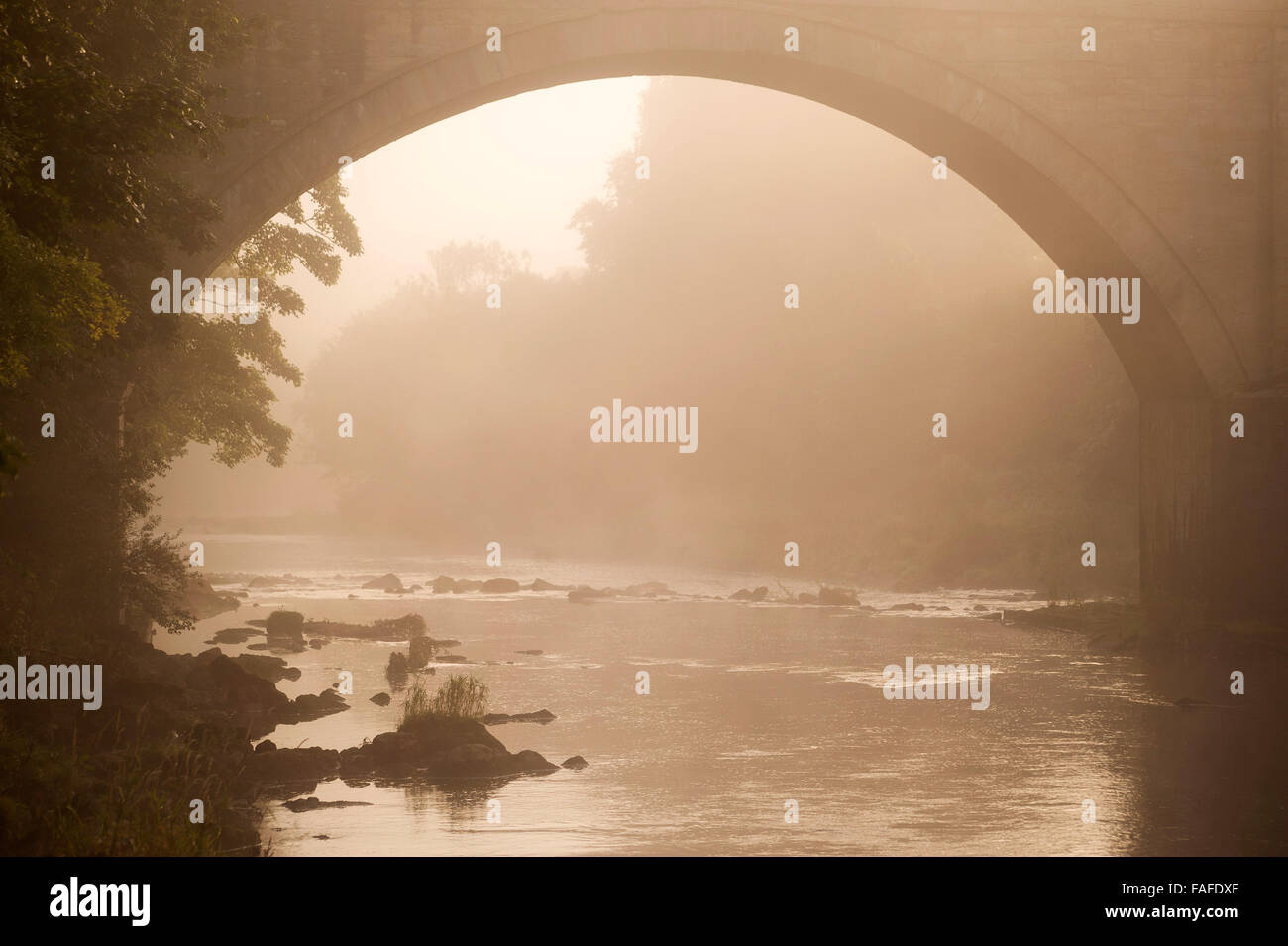 Mist on the South Tyne. Ridley Bridge, Northumberland Stock Photo - Alamy
