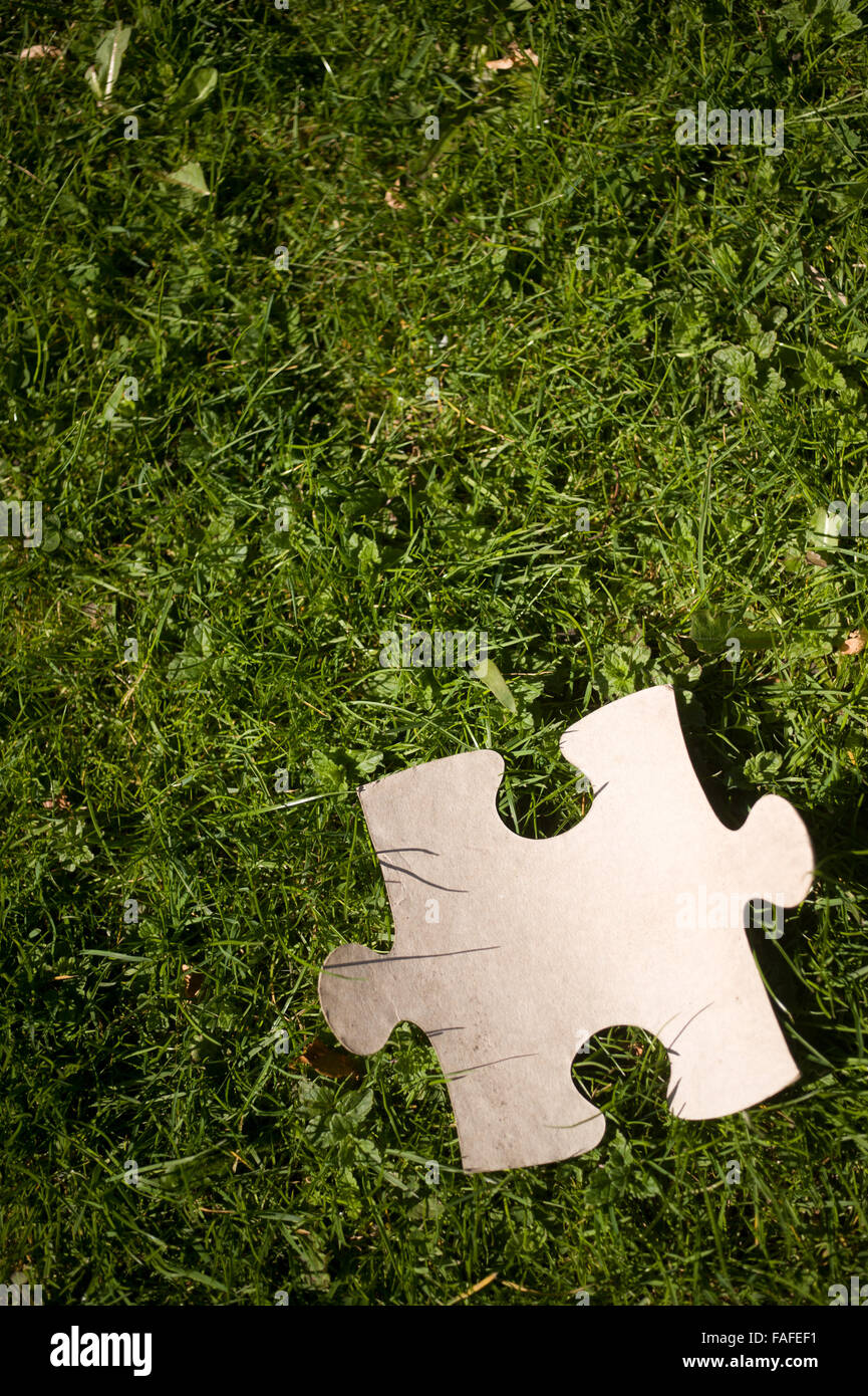 Blank Jigsaw puzzle piece on grass Stock Photo - Alamy