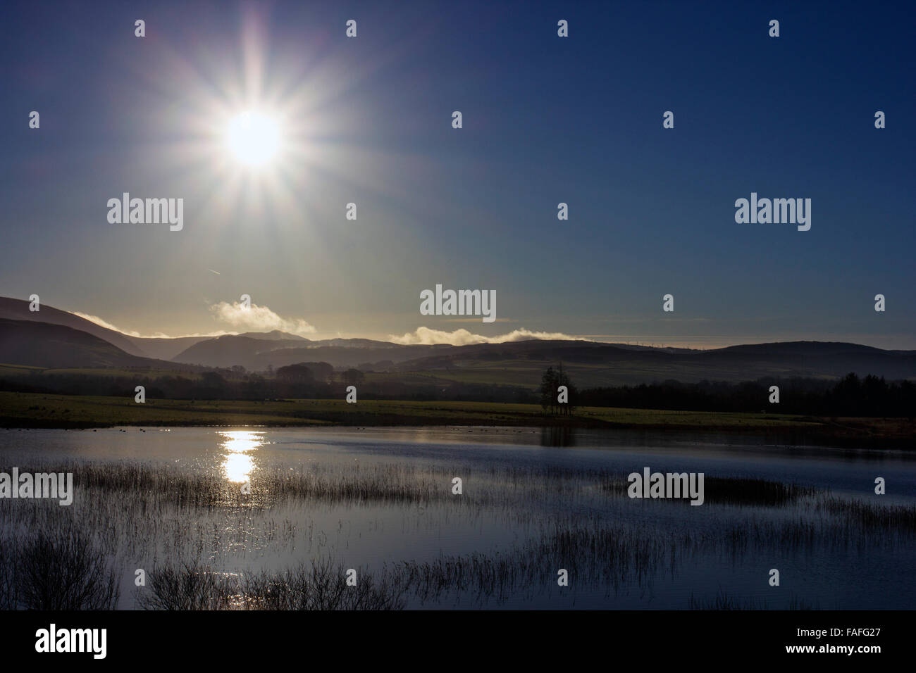 Sunshine sun shining bright hi-res stock photography and images - Alamy