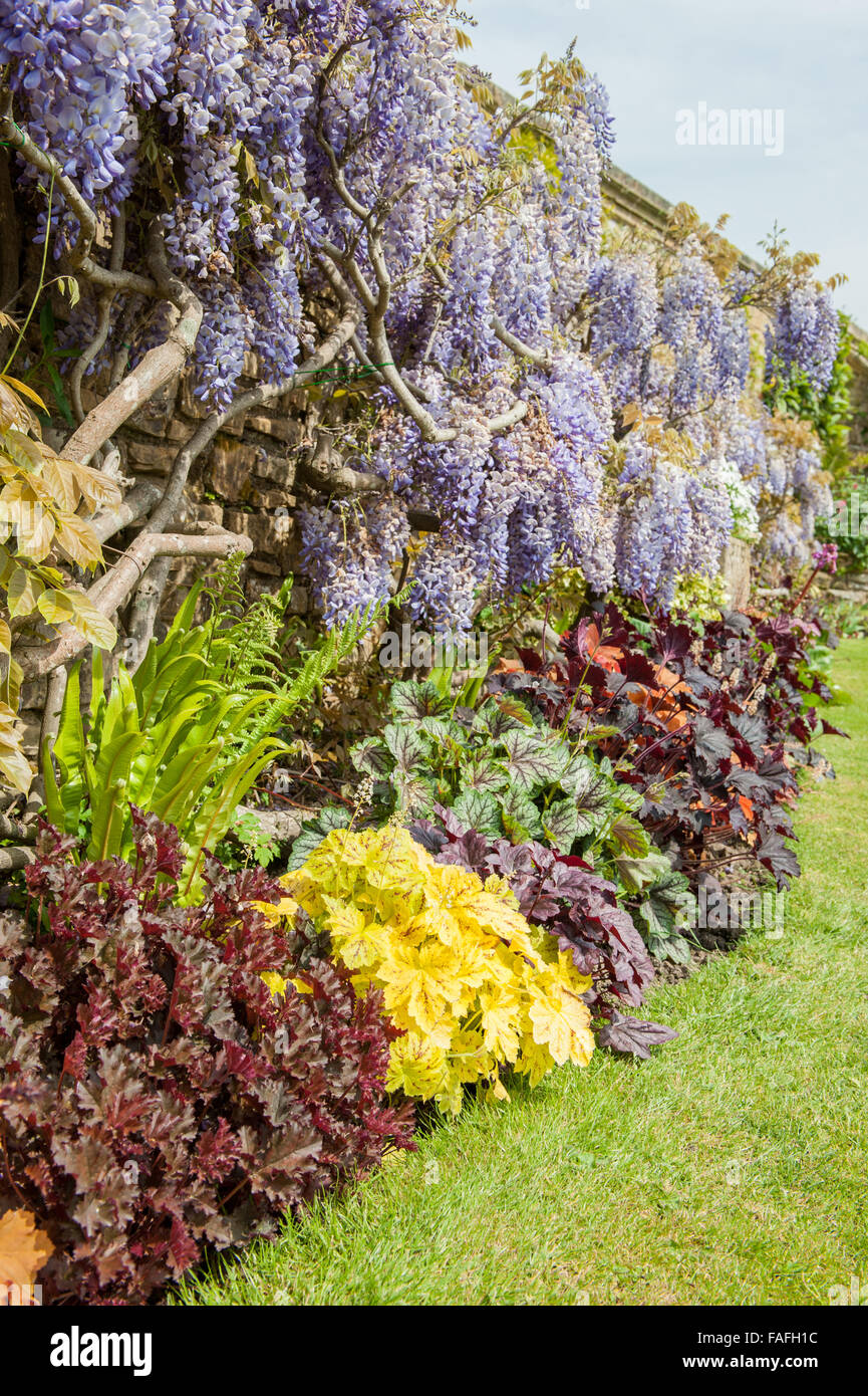 Summer garden colorful flower side boarder and tree Stock Photo - Alamy