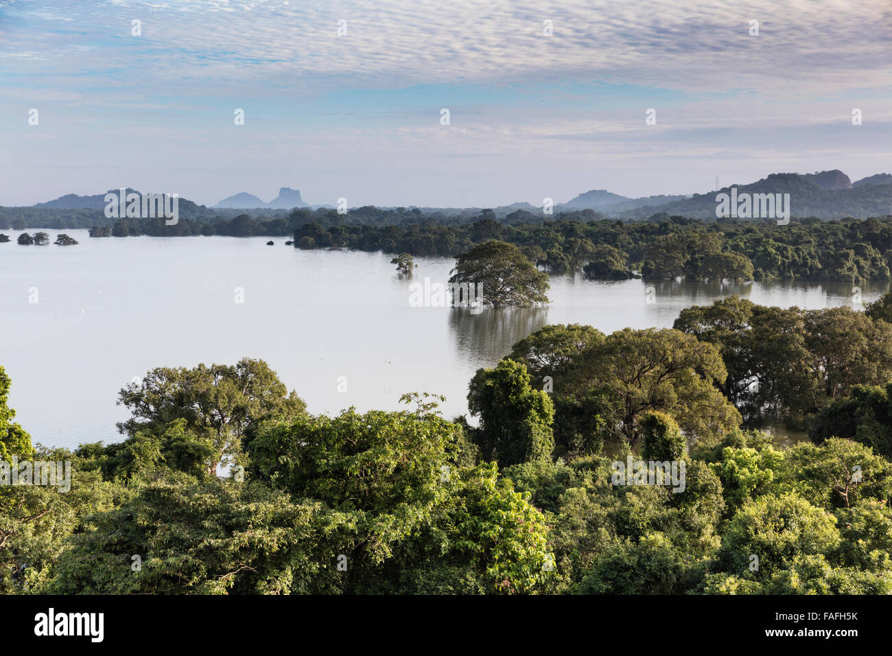 View of Kandalama Lake with Sigiriya Rock in distance. Taken at ...