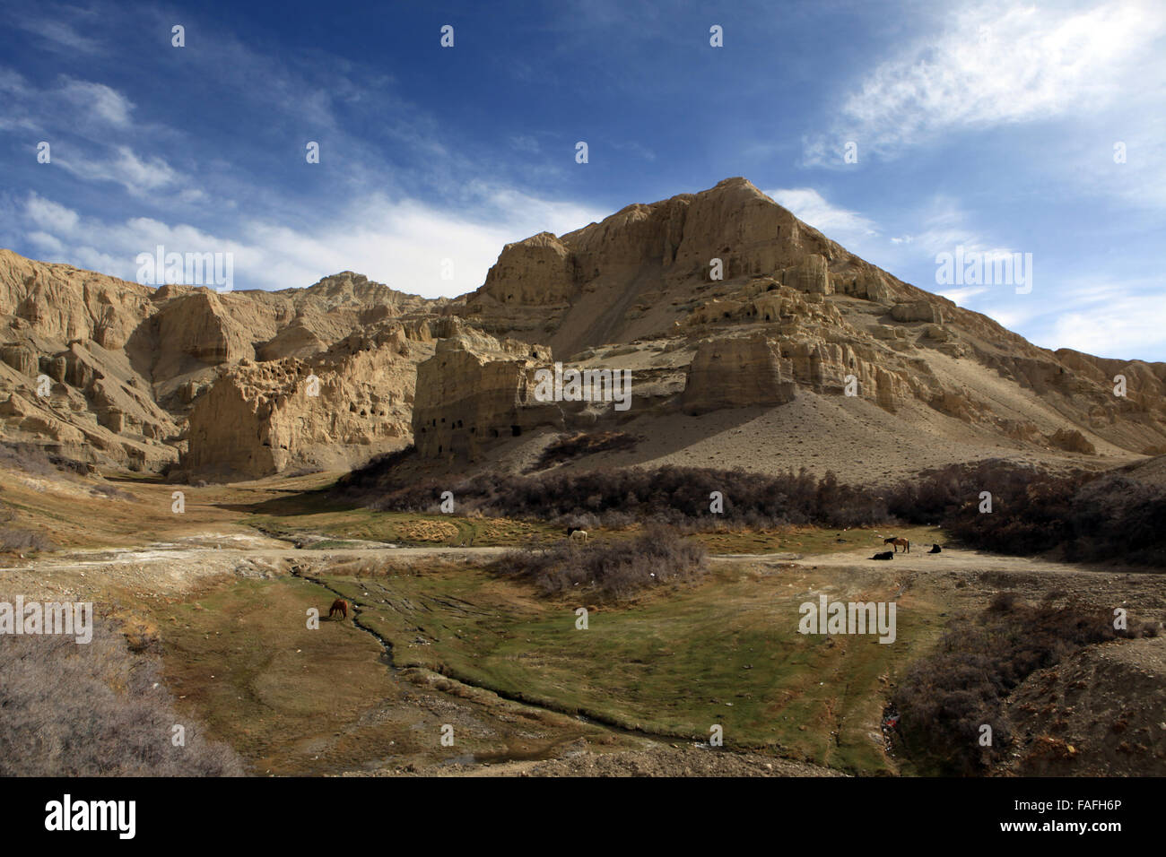 Ariza daxian Tibet Stock Photo - Alamy