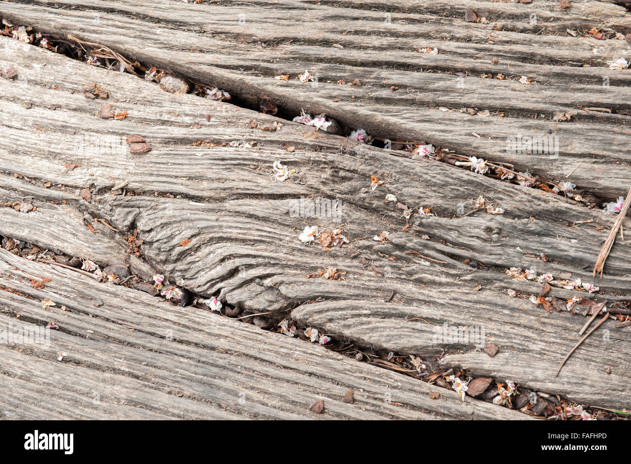 Close up of aged wooden floor groove texture Stock Photo - Alamy