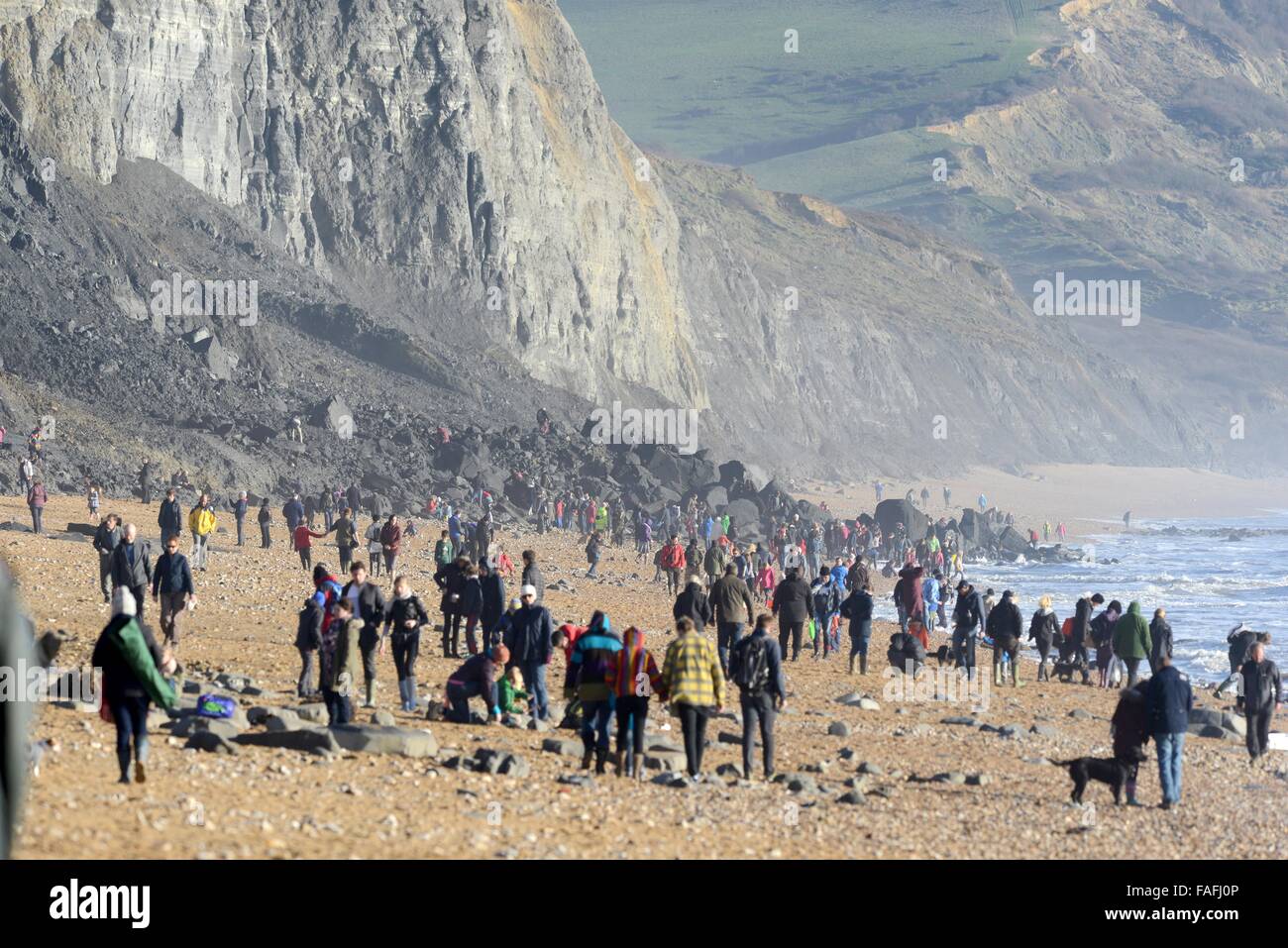 Charmouth beach cliff fall, Dorset, Britain, UK Stock Photo - Alamy