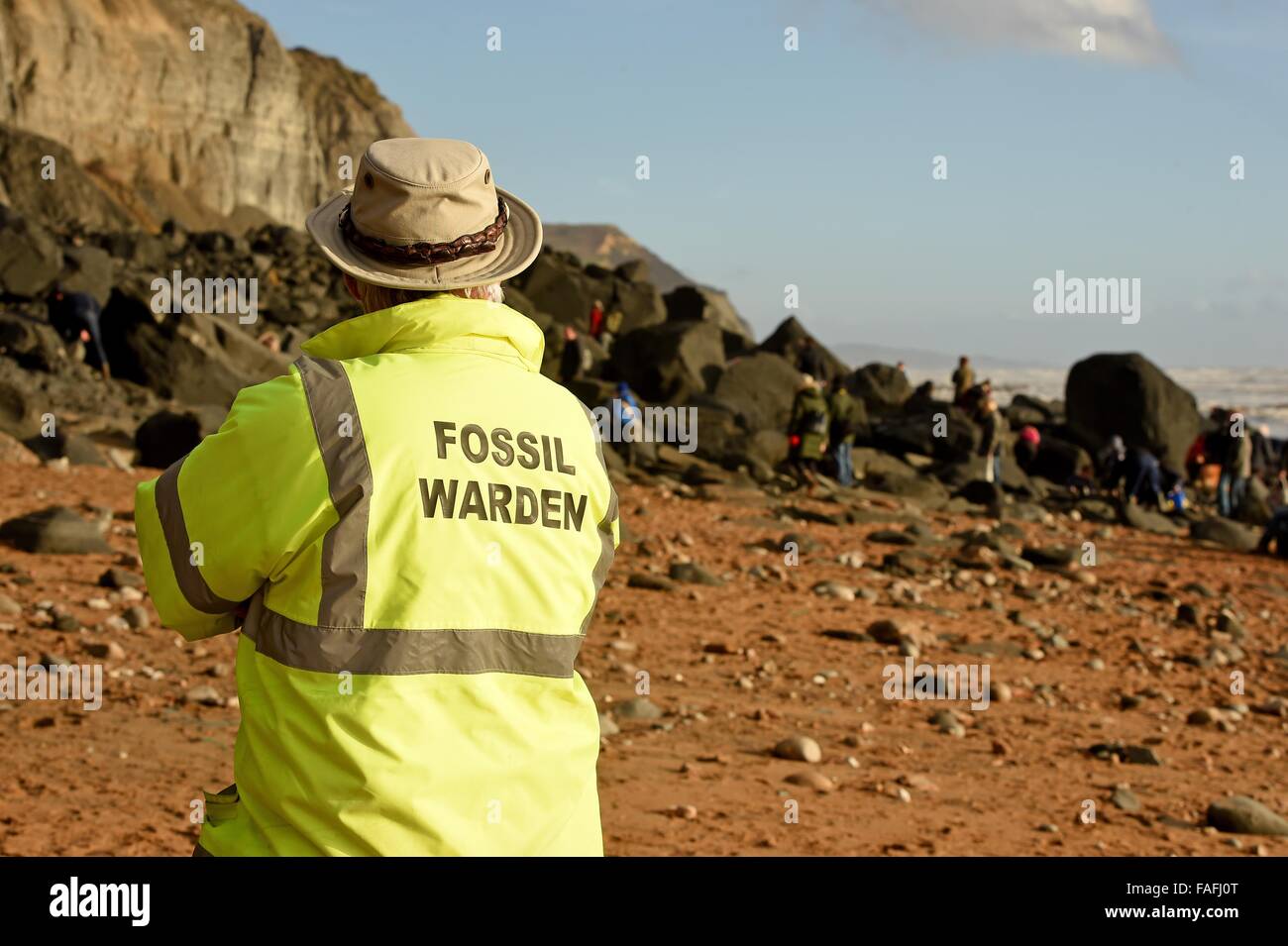 Charmouth beach cliff fall, fossil warden, Dorset, Britain, UK Stock ...