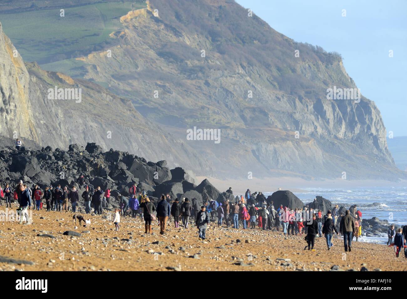 Charmouth beach cliff fall, Dorset, Britain, UK Stock Photo - Alamy